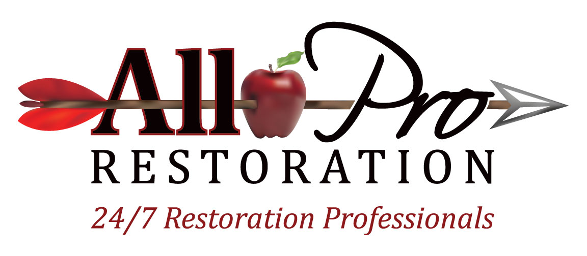 All Pro Restoration | Team Dave Logan